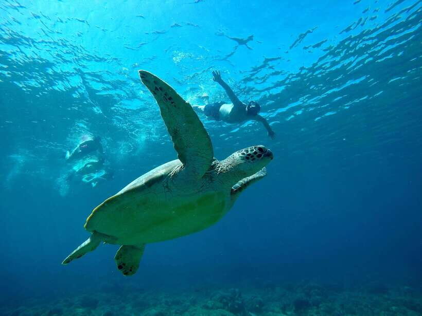 Gili T Private Snorkeling Trip include GOPRO shoot - Who Should Consider This Tour?