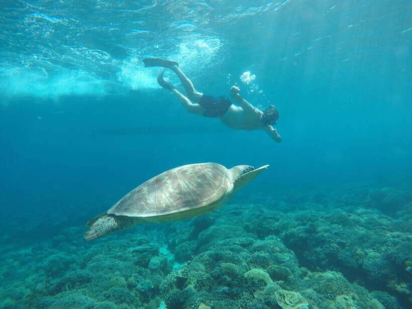 Gili Trawangan Best Snorkeling Trip With GOPRO documentation - Itinerary Breakdown