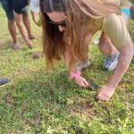 Gili Trawangan: Mushroom Tour with Jungle Breakfast - What Does the Tour Offer for the Price?