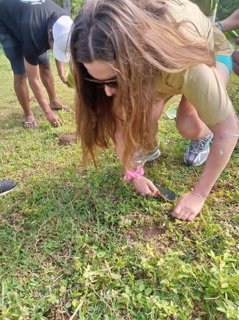 Gili Trawangan: Mushroom Tour with Jungle Breakfast - What Does the Tour Offer for the Price?