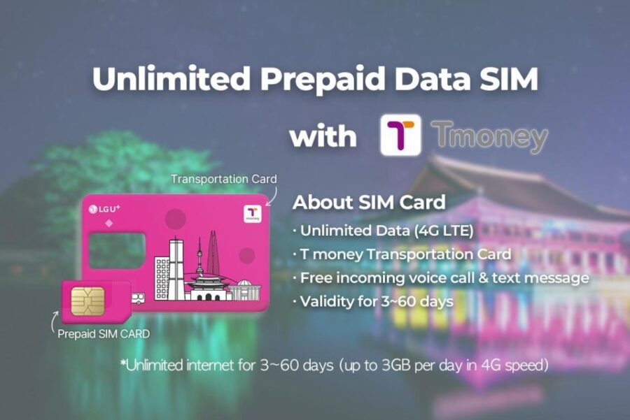 Gimpo Airport: Traveler SIM and T-money Transportation Card - The Data and Connectivity Experience