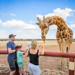 Giraffe Safari & a Day at Monarto Safari Park - Who Will Love This Tour