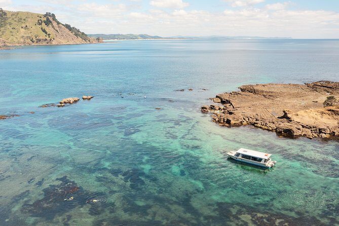 Glass Bottom Boat Tour - What the Reviews Tell Us