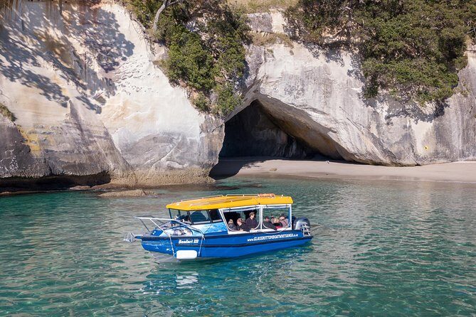 Glass Bottom Boat Whitianga Cathedral Cove Cruise - Practical Tips for Travelers