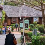 Glass House Mountains, Maleny and Montville Tour from Brisbane - Authentic Experiences That Stand Out