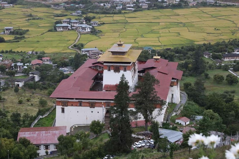 Glimpses of Bhutans Treasures: 11-DayCultural Tour - Who This Tour Is Best For
