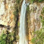 Glow Worms + Day/Night Rainforest & Waterfalls Experience - The Sum Up