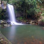 Glow Worms - Nocturnal Rainforest/Waterfall Adventure - The Sum Up: Who Will Love This Tour?