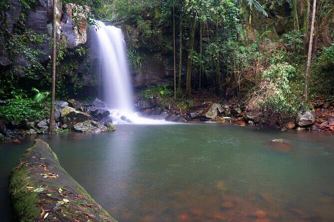 Glow Worms - Nocturnal Rainforest/Waterfall Adventure - The Sum Up: Who Will Love This Tour?