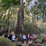 Glow-worms, Waterfalls & Rainforest Experience - Why This Tour Offers Excellent Value