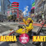 Go-kart tour around Shibuya crossing (IDP&Passport Required) - Final Thoughts: Who Will Love This Tour?