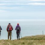 Godley Head Scenic Drive & Guided Walk (Shore Excursion) - An In-Depth Look at the Itinerary