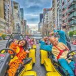 GoKart Tokyo: Oldtown Tour |8 Tour Destinations in 100 mins - Analyzing the Value