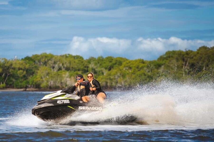 Gold Coast: 1 Hour Mangrove Island Ride + Free Video + Photo - What You Can Expect on the Tour