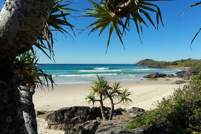 Gold Coast Full Day Learn To Surf Adventure - Who Will Love This Tour?