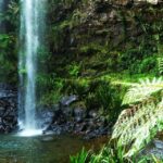Gold Coast: Glow Worms Nocturnal Rainforest & Waterfall Walk - Final Thoughts