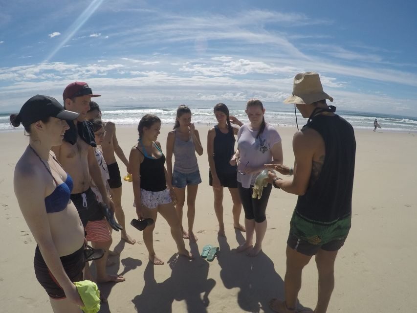 Gold Coast: Kayaking and Snorkeling Guided Tour - Who Should Consider This Tour?