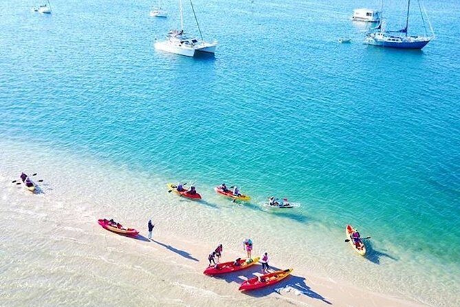 Gold Coast Kayaking & Snorkelling Tour (2.5 Hours) - What to Expect During the Tour