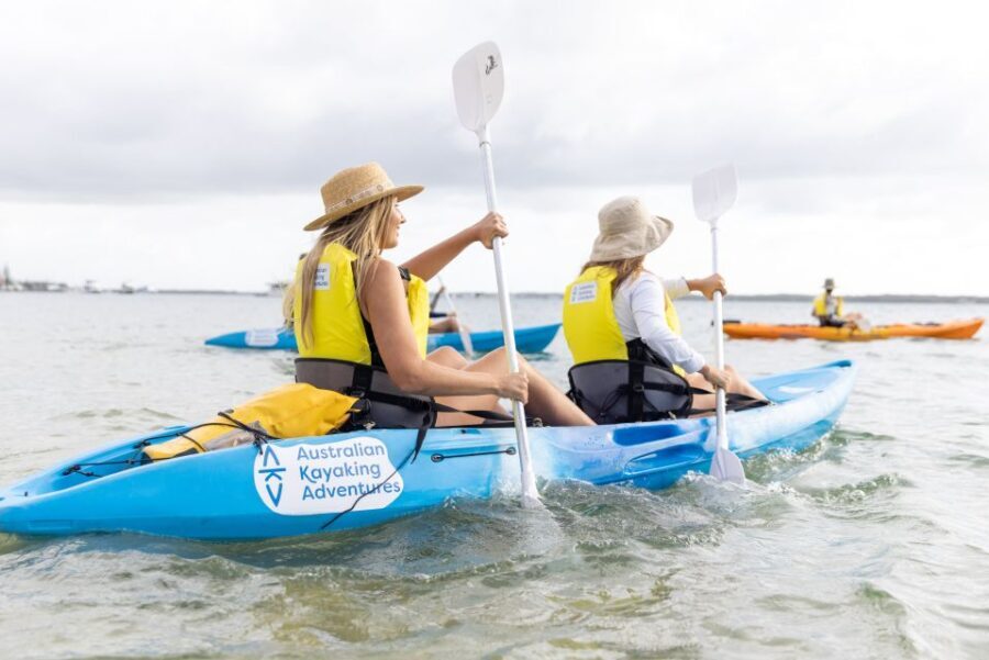 Gold Coast: Kayaking & Snorkelling Tour with Fish Feeding - The Itinerary in Detail