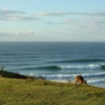 Gold Coast: Learn to Surf Experience with Lunch & Activities - What Makes This Tour Valuable?