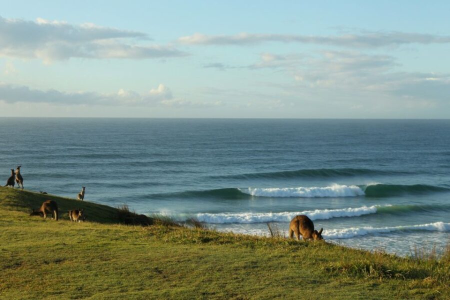 Gold Coast: Learn to Surf Experience with Lunch & Activities - What Makes This Tour Valuable?
