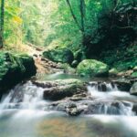 Gold Coast: Natural Bridge Glow Worm Night Tour - Who Would Enjoy This Tour?