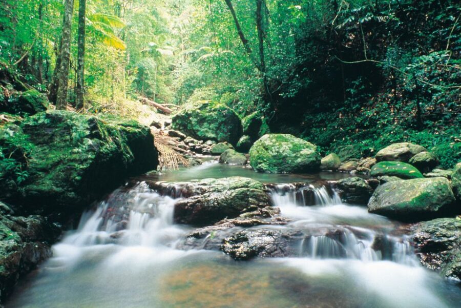 Gold Coast: Natural Bridge Glow Worm Night Tour - Who Would Enjoy This Tour?