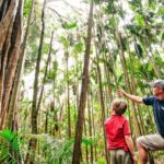 Gold Coast: Natural Bridge & Springbrook Waterfalls Tour - Who Is This Tour Best For?