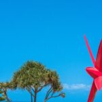 Gold Coast Photography Course For Beginners - Authentic Feedback and Insights