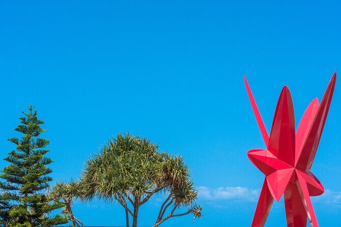 Gold Coast Photography Course For Beginners - Authentic Feedback and Insights