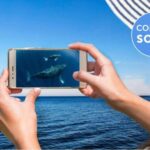 Gold Coast: Premium Whale Watching Cruise - The Onboard Experience
