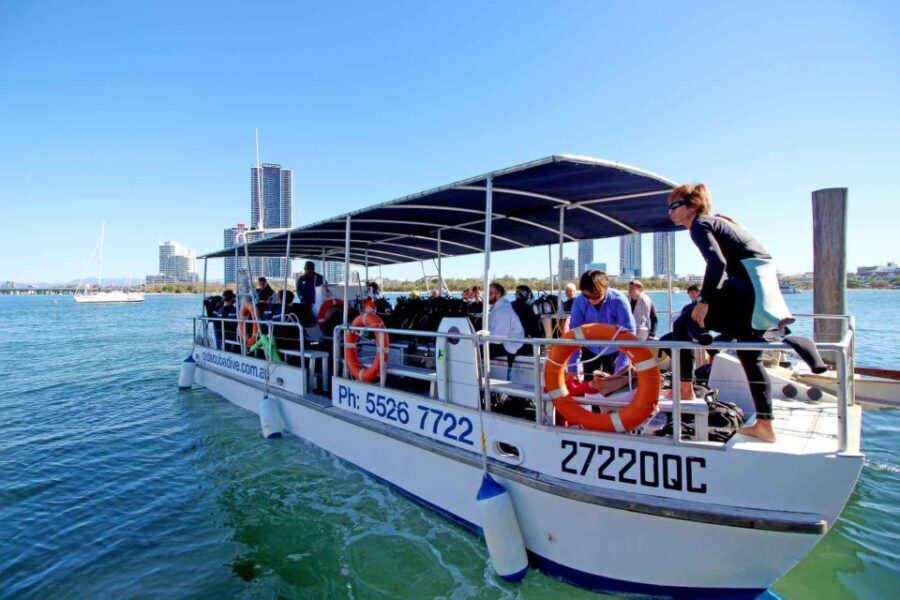 Gold Coast: Snorkelling in Wave Break Island - What You Can Expect on This Snorkelling Tour