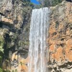 Gold Coast: Springbrook 7 Waterfalls and Natural Bridge Day Tour - Frequently Asked Questions