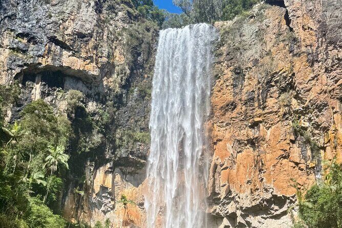 Gold Coast: Springbrook 7 Waterfalls and Natural Bridge Day Tour - Frequently Asked Questions