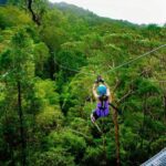 Gold Coast: Tamborine Mountain Canyon Flyer Zipline Tour - Who Will Enjoy This Tour?