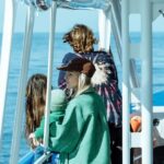 Gold Coast Whale Experience - Why This Tour Is a Solid Choice