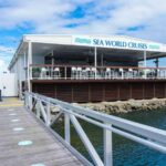 Gold Coast: Whale Watching Cruise & Sea World Entry - Practical Details