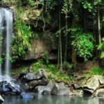 Gold Coast: Wine, Distillery & Rainforest Day Tour - An In-Depth Look at the Tamborine Mountain Day Tour