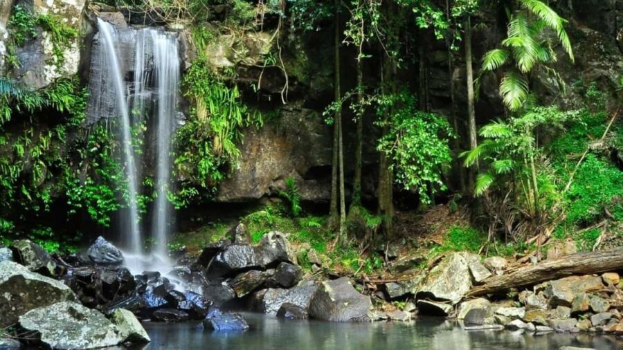 Gold Coast: Wine, Distillery & Rainforest Day Tour - An In-Depth Look at the Tamborine Mountain Day Tour