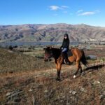 Golden Hills Horse Trek in Central Otago - Who Is This Tour Best For?