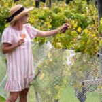 Gourmet Mystery Picnic Experience in Matakana - Who Is This Tour Best Suited For?