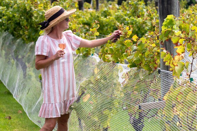 Gourmet Mystery Picnic Experience in Matakana - Who Is This Tour Best Suited For?
