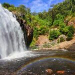 Grampians National Park Small-Group Eco Tour from Melbourne - The Overall Experience and What Travelers Say