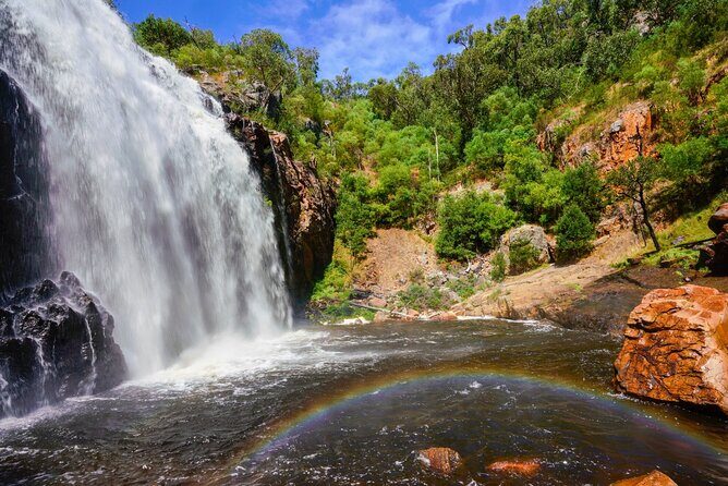 Grampians National Park Small-Group Eco Tour from Melbourne - The Overall Experience and What Travelers Say