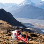 Grand Alpine Helicopter Flight - Queenstown - Authentic Experiences From Travelers