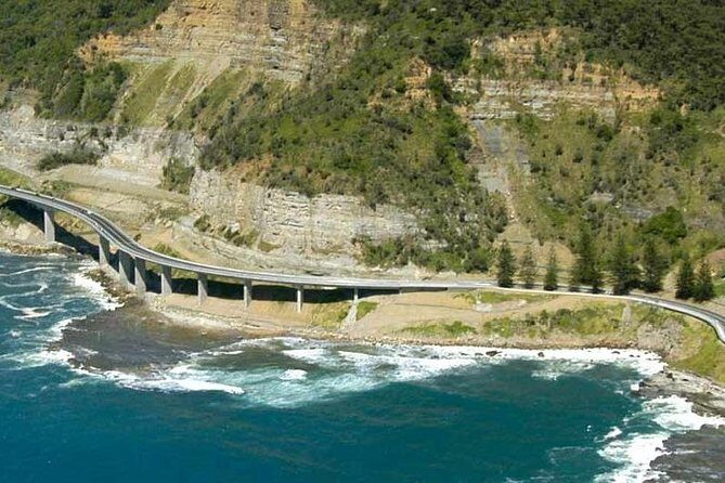 Grand Pacific Trike Tour - Authentic Voices: What Travelers Say