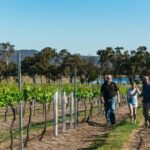 Granite Belt: Winemakers Winetasting Experience & Cheese - Who Will Love This Tour?