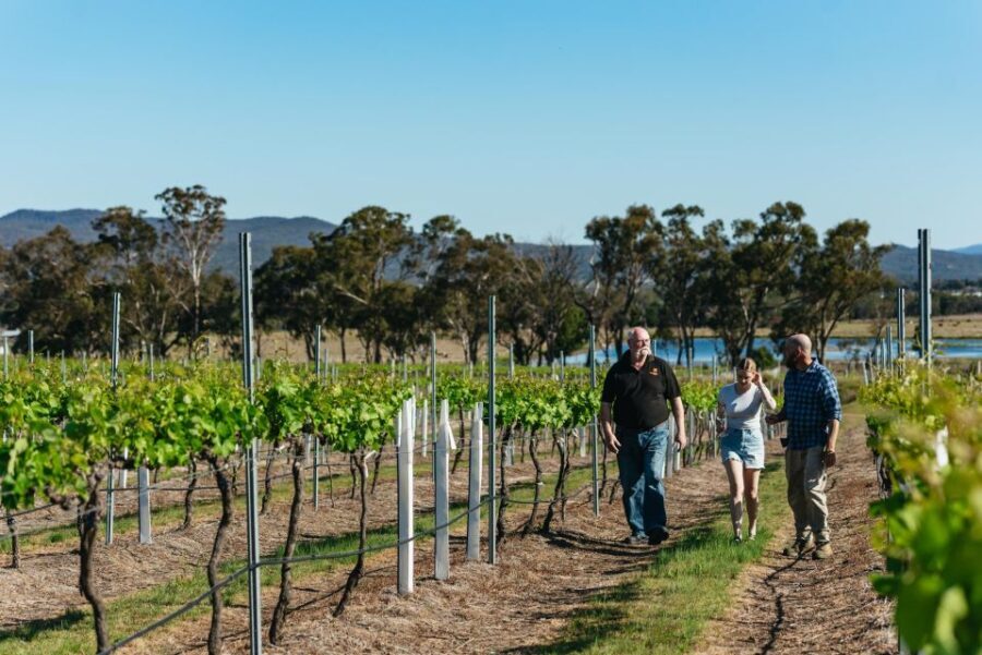 Granite Belt: Winemakers Winetasting Experience & Cheese - Who Will Love This Tour?
