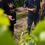 Grape to Glass Master Class - Exploring the Grape to Glass Master Class at Ridgemill Estate