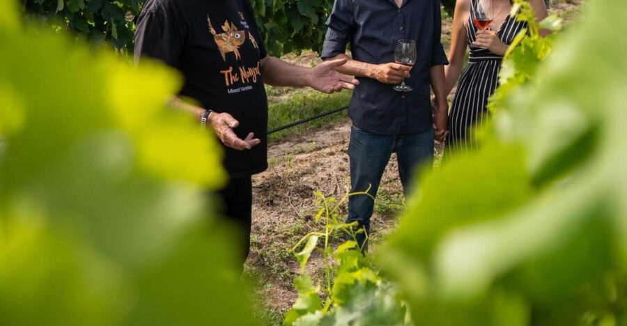 Grape to Glass Master Class - Exploring the Grape to Glass Master Class at Ridgemill Estate
